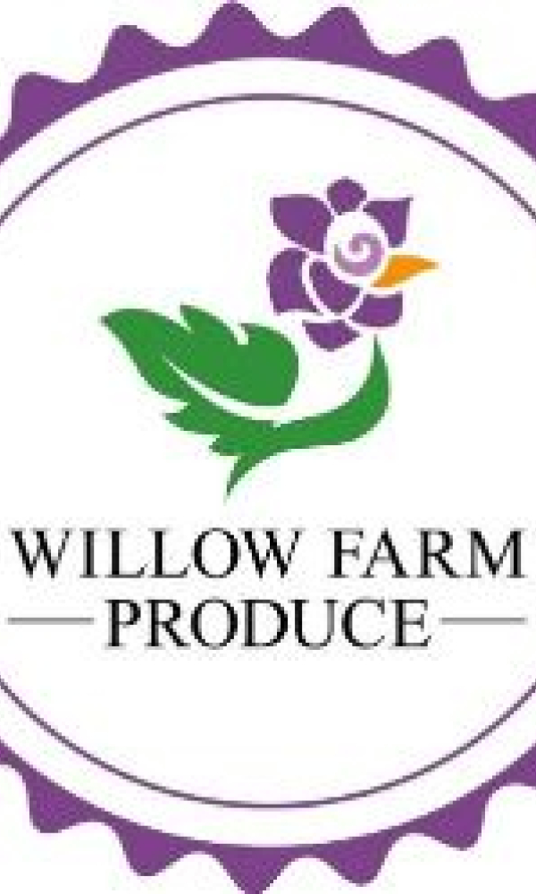 Willow Farm Produce Set Honey | York Wines